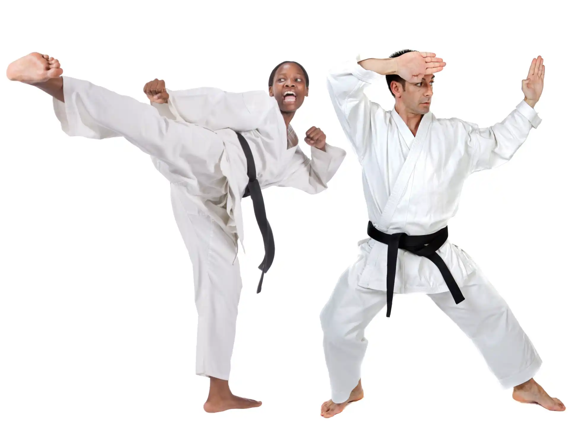 DMA Martial Arts | After-School & Martial Arts in Sudbury, MA 01776 ...