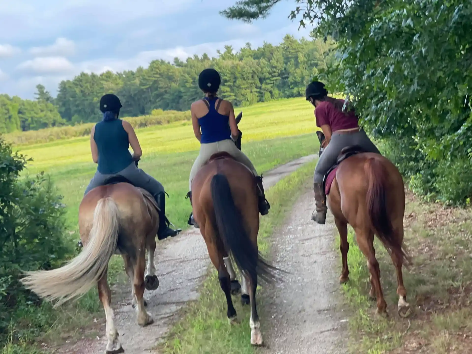 Harmony Farm | After-School, Equestrian & Farm in Rochester, MA 02770 ...