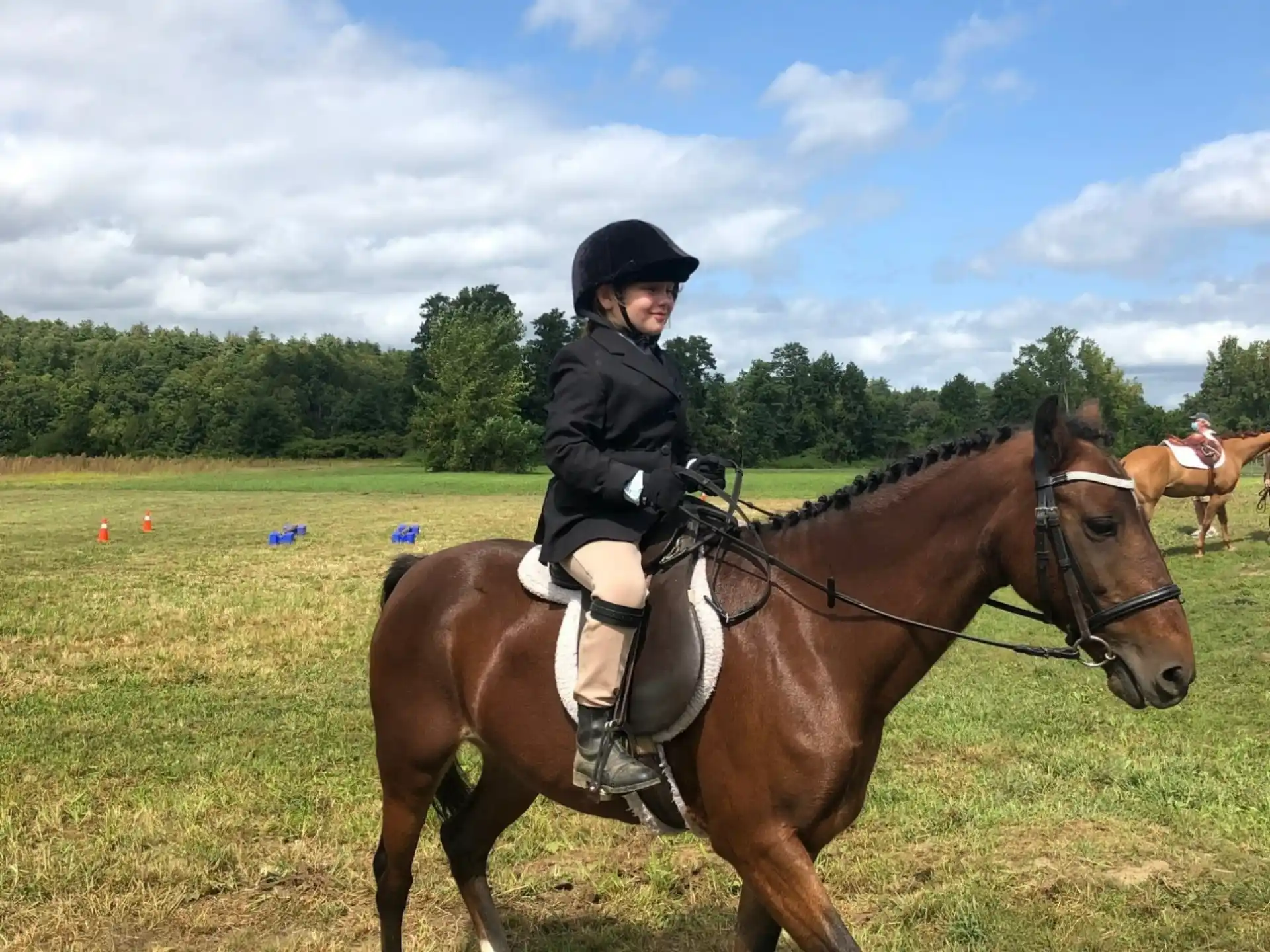 Heron’s Crest Stables | After-School, Equestrian & Farm in Holden, MA ...