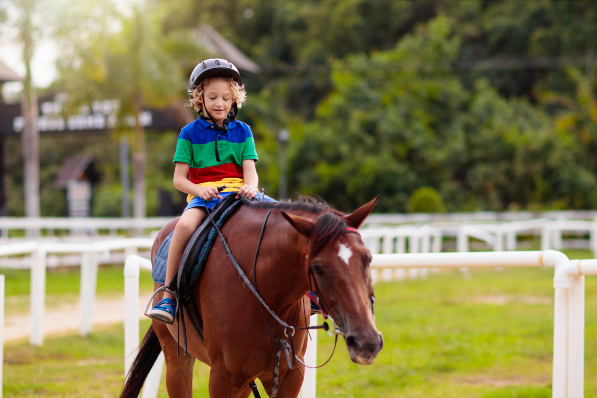 10 Fascinating Facts About Horseback Riding | BeAKid